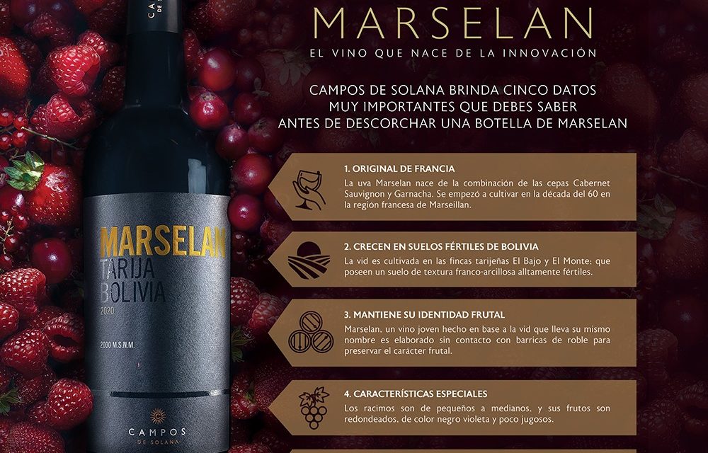 El secreto para maridar el vino Marselan | Santa Cruz Económico